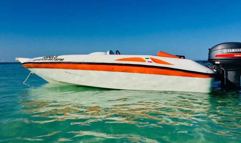 Punta Cana Amazing Experience in Speed Boat with Snorkelling - What to Expect from This Punta Cana Speed Boat and Snorkelling Tour