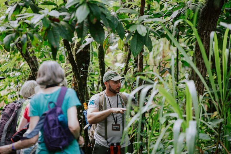 Punta Cana: Anamuya Mountains Guided Walking Tour - What Travelers Are Saying