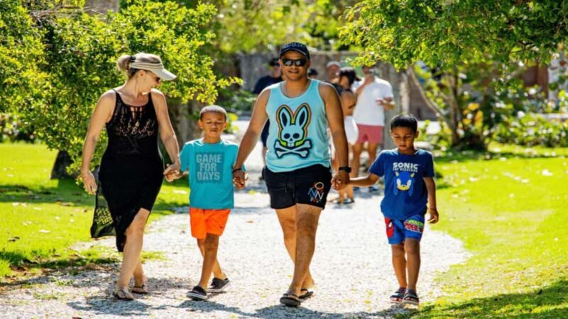 Punta Cana: Art and Forest Way Full-Day Tour with Lunch - A Closer Look at the Itinerary