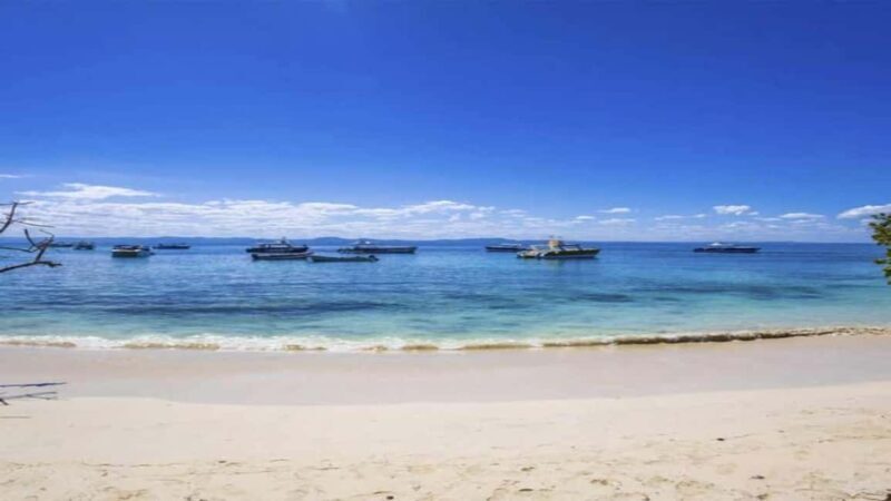 Punta Cana: ATV Tour with Macao Beach & Blue Cave Swim - Who Will Enjoy This Tour?
