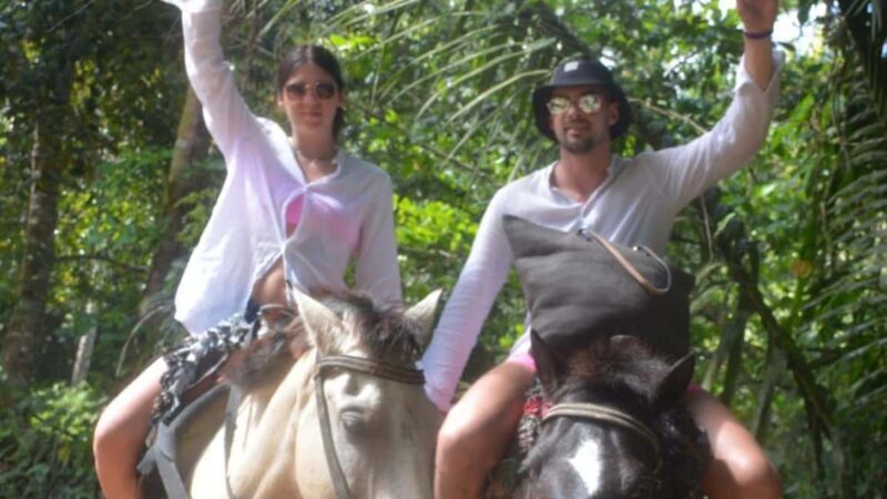 Punta Cana: Bacardi Island & Limon Waterfall Full-Day Tour - Key Points