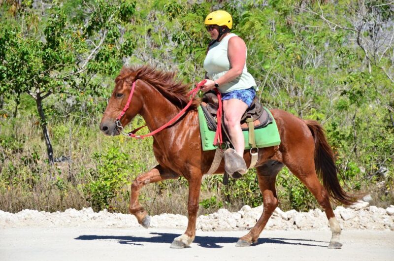 Punta Cana: Bávaro Adventure Park Horse Riding & Waterfalls - A Thorough Look at the Experience