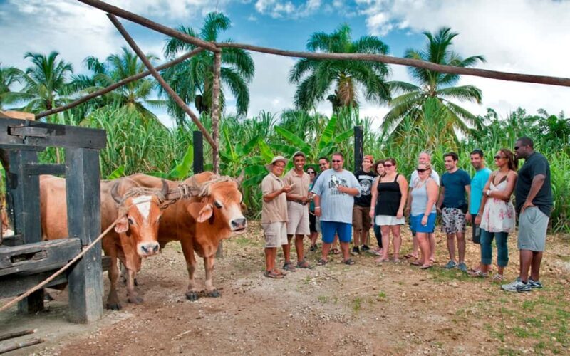 Punta Cana: Bavaro Runners Safari Tour - The Sum Up
