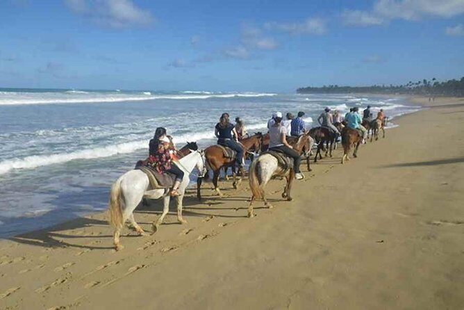 Punta Cana Beach Horseback Riding - Key Points