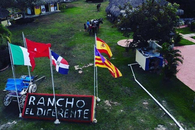 Punta Cana Beach Horseback Riding - The Experience in Detail