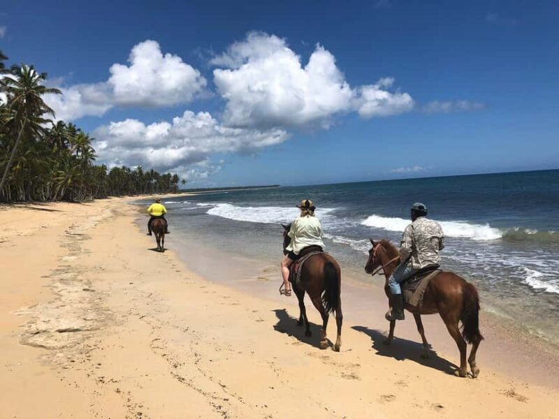 Punta Cana Beach Horseback Riding Tour - Introduction