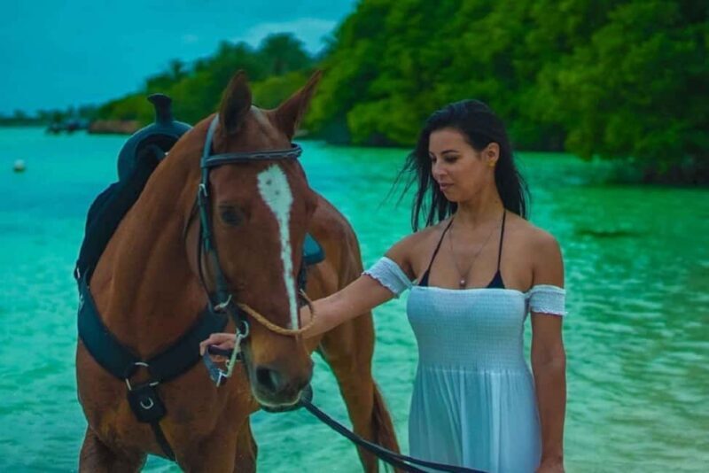 Punta Cana Beach Horseback Riding Tour - Who Should Consider This Tour?