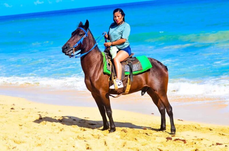 Punta Cana: Beach Sunset Horseback Riding with Hotel Pickup - Key Points