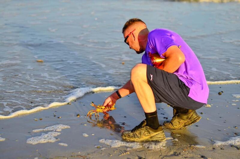 Punta Cana: Beach Sunset Horseback Riding with Hotel Pickup - Breaking Down the Experience