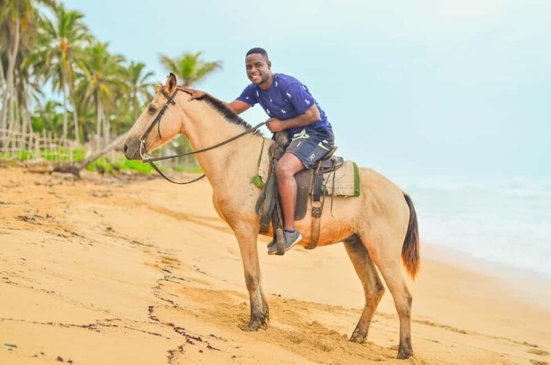 Punta Cana: Beach Sunset Horseback Riding with Hotel Pickup - Who Should Book This Tour?