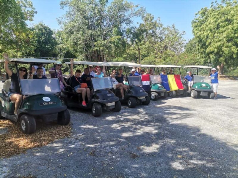 Punta Cana: Blue Lagoon Tour with Catamaran Cruise - An Introduction to the Tour Experience