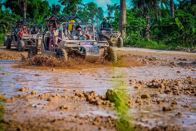 Punta cana Boogie into the Jungle with Coffee and Chocolate Taste - An In-Depth Look at the Tour Itinerary