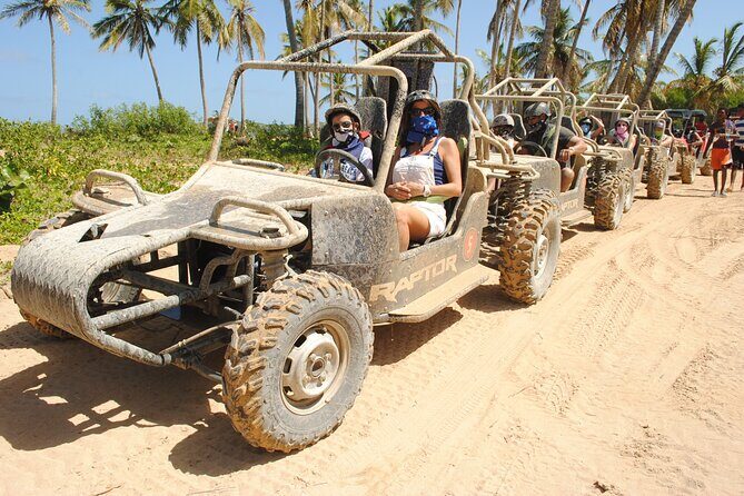 Punta cana Boogie into the Jungle with Coffee and Chocolate Taste - Price and Value