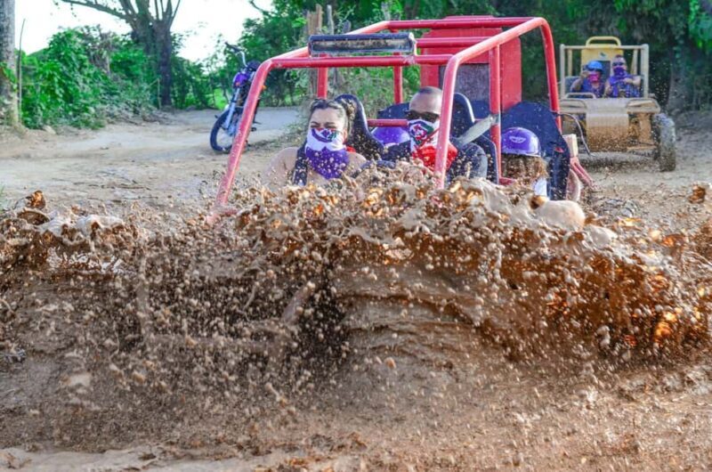 Punta Cana Buggies Through Fields and Beaches - Key Points