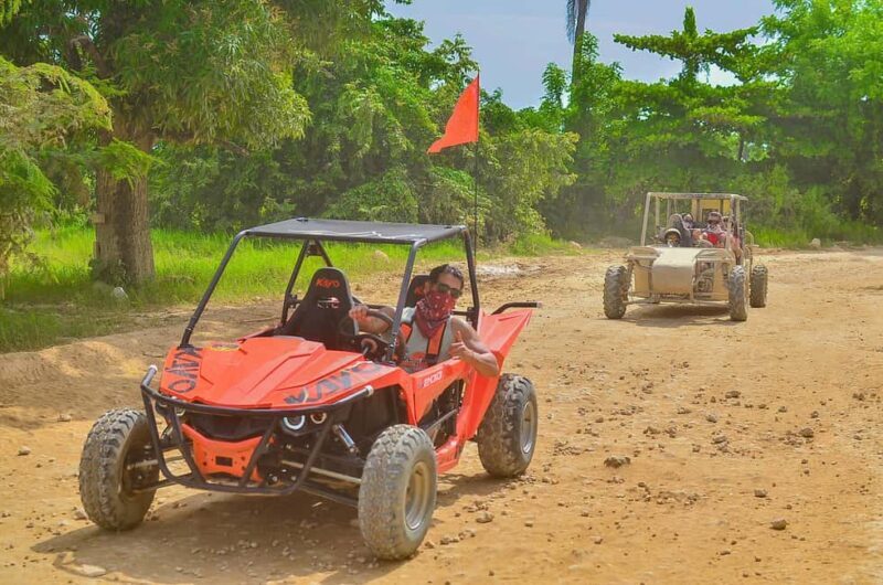 Punta Cana: Buggy Adventure with Taino Cave and Macao Beach - Who Should Consider This Tour?