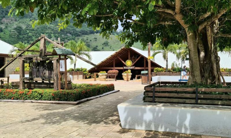 Punta Cana: Buggy and Zipline Adventure at La Hacienda - Final Thoughts