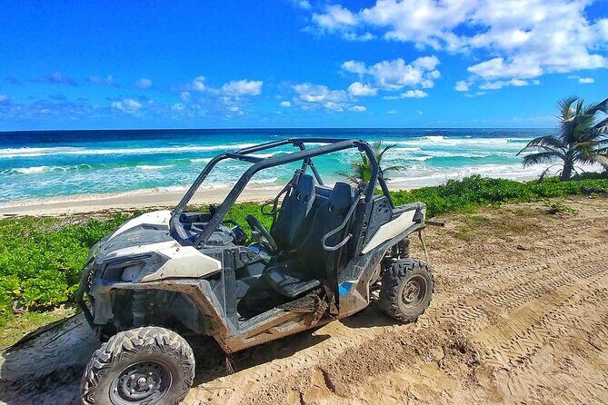 Punta Cana Buggy, ATV and Terracross Adventures - Who Should Consider This Tour?