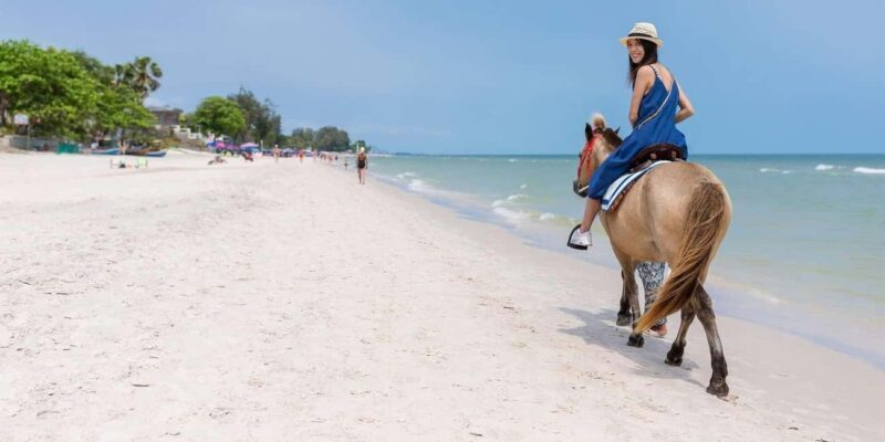 Punta Cana: Buggy, Horseback Riding, Zipline, and Catamaran - Key Points