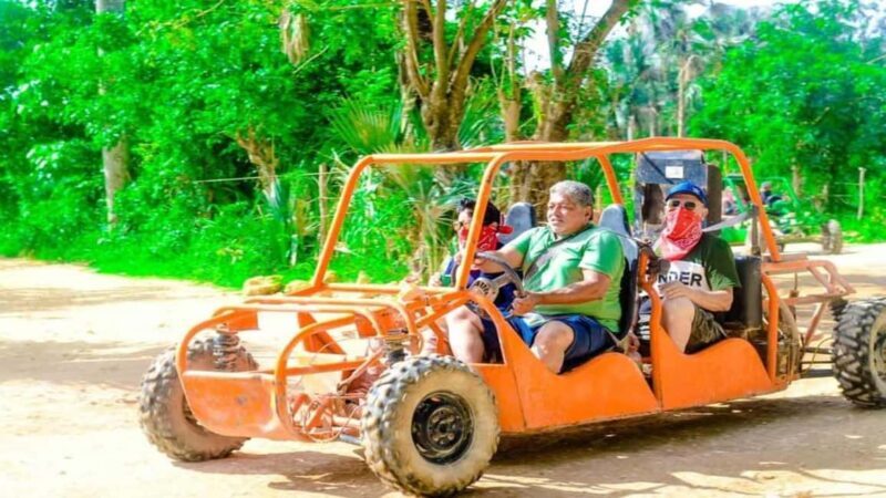 Punta Cana: Buggy Ride and Parasailing Adventure with Pickup - Who Will Enjoy This Tour?