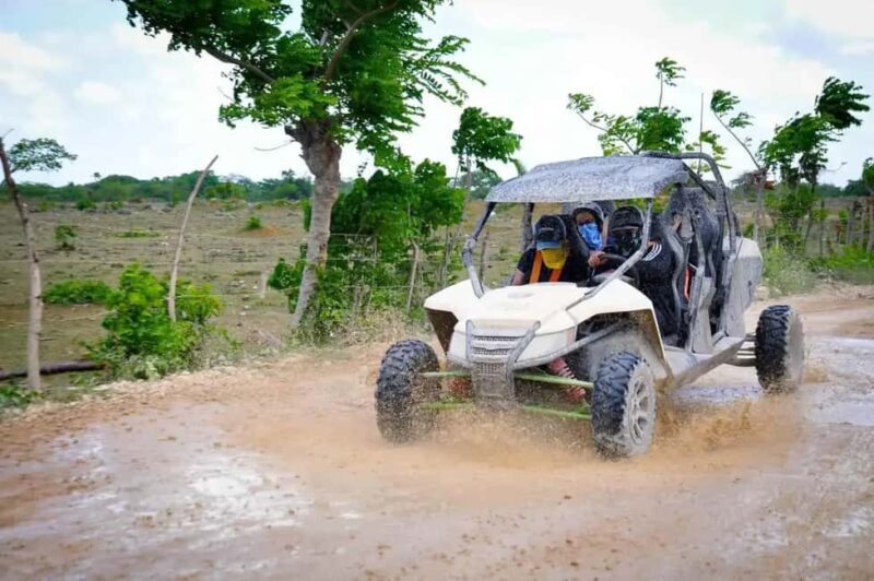 Punta Cana: Buggy Ride, Cenote Swim, & Macao Beach Tour - Authentic Experiences with Good Value
