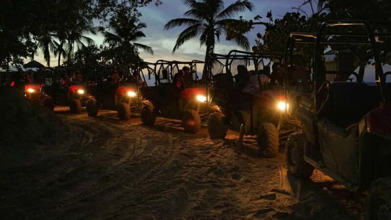 Punta Cana: Buggy Ride, Dinner and Taino Party - Authentic Feedback and Highlights