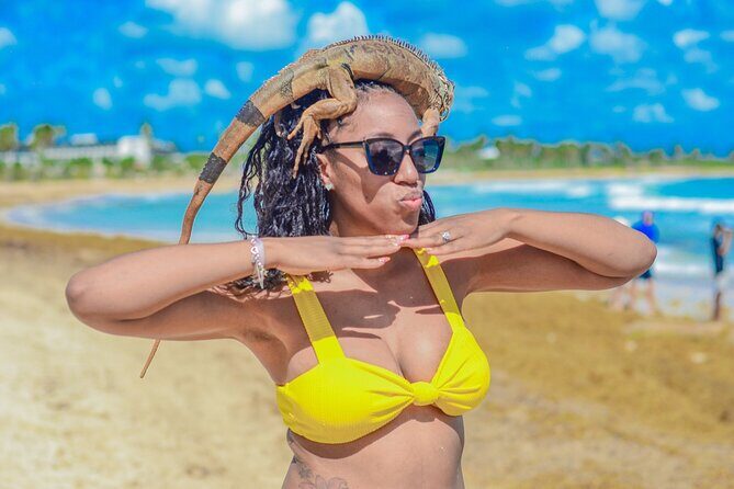 Punta Cana Buggy Riding Adventure Combo - Who Will Love This Tour?