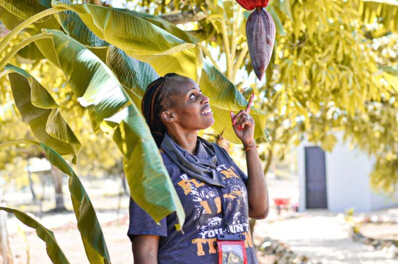 Punta Cana Buggy Tour: Magical Caves, Dream Beaches & Culture - Safety, Comfort, and Practical Details