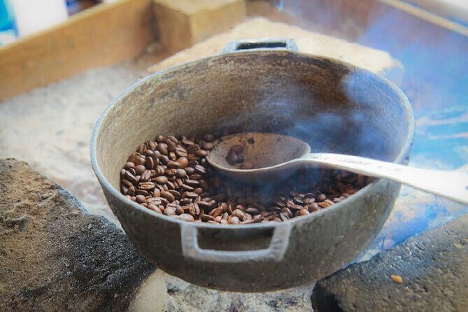 Punta Cana Buggy Tours , Cenotes , Macau Beach - FAQ