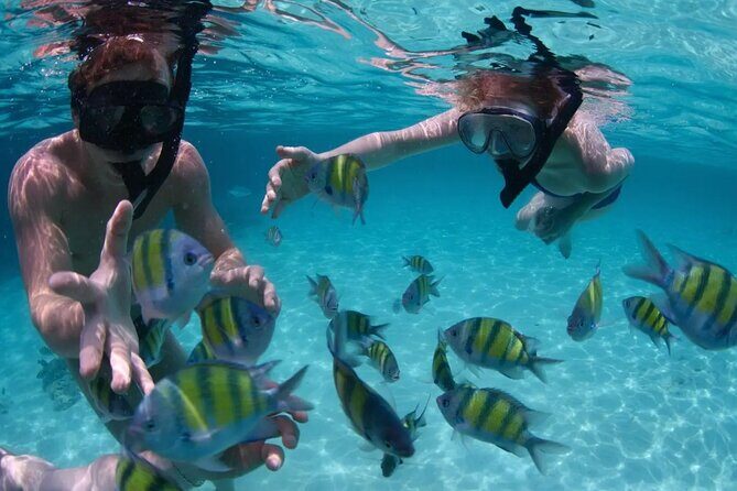 Punta Cana Catalina Island Catamaran Tour Package Deal - FAQ