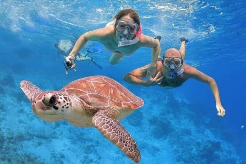 Punta Cana: Catalina Island Classic or VIP Sailing Tour - Cruising Back: A Final Relaxation