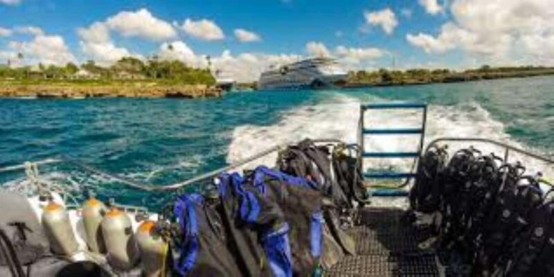Punta Cana: Catalina Island Scuba Diving Day Trip - Key Points