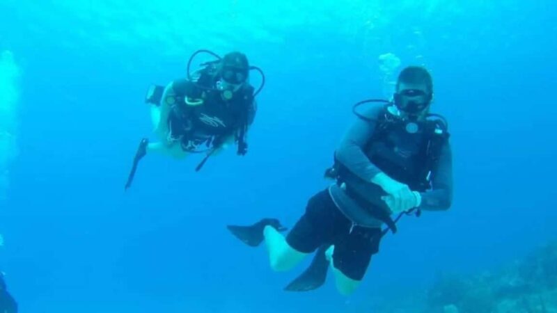Punta Cana: Catalina Island Scuba Diving Day Trip - Key Points