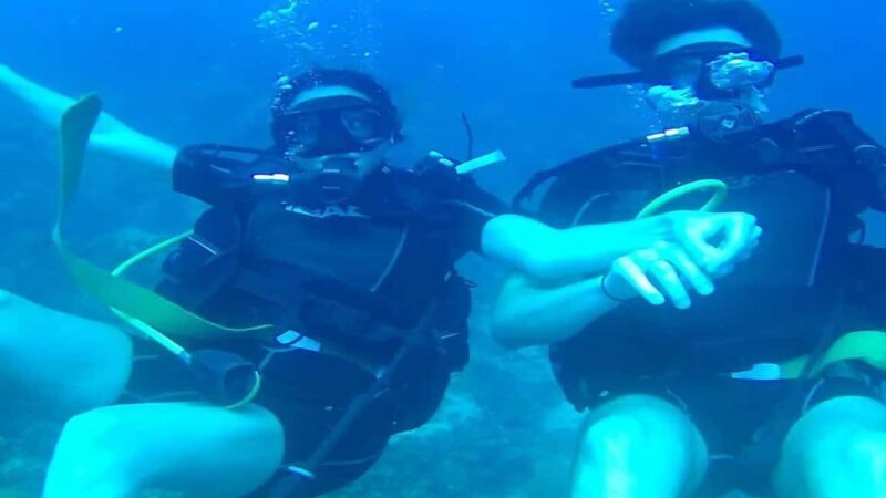 Punta Cana: Catalina Island Scuba Diving Day Trip - Setting the Scene: What to Expect