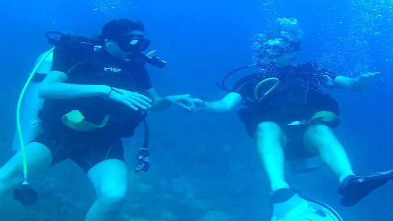 Punta Cana: Catalina Island Scuba Diving Day Trip - Diving Certification & Practicalities