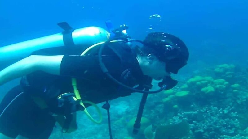 Punta Cana: Catalina Island Scuba Diving Day Trip - Value and Considerations