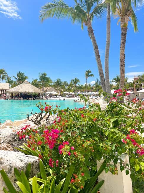 Punta Cana: Catalina Island Snorkeling Tour with Lunch - Who Will Love This Tour?