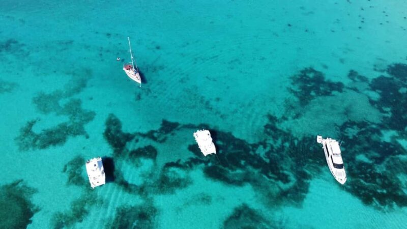 Punta Cana: Catalina Island Snorkeling Tour with Lunch - Authentic Marine and Beach Experiences