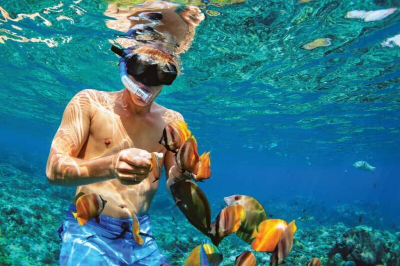 Punta Cana: Catalina Island Snorkeling Tour with Lunch - Who Would Enjoy This Tour?