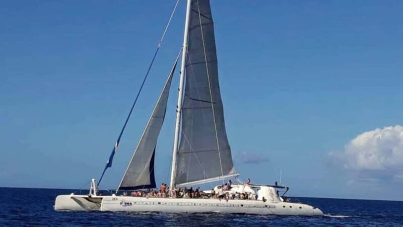 Punta Cana: Catalina Island Snorkeling Tour with Lunch - Introduction