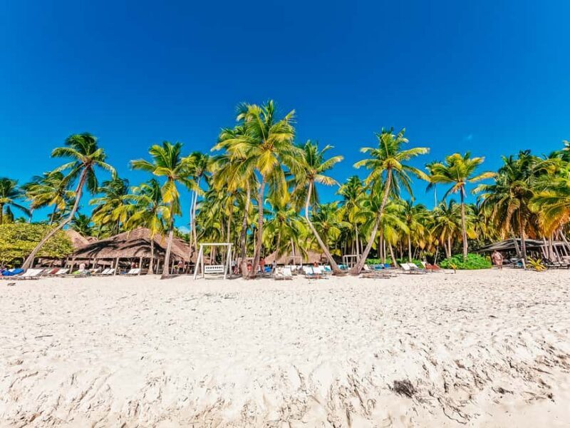 Punta Cana: Catamaran Boat to Saona Island with Buffet Lunch - FAQ