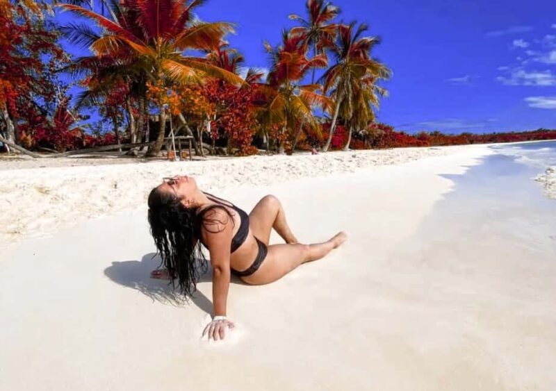 Punta Cana: Catamaran Boat to Saona Island with Buffet Lunch - Transportation, Duration, and Group Size