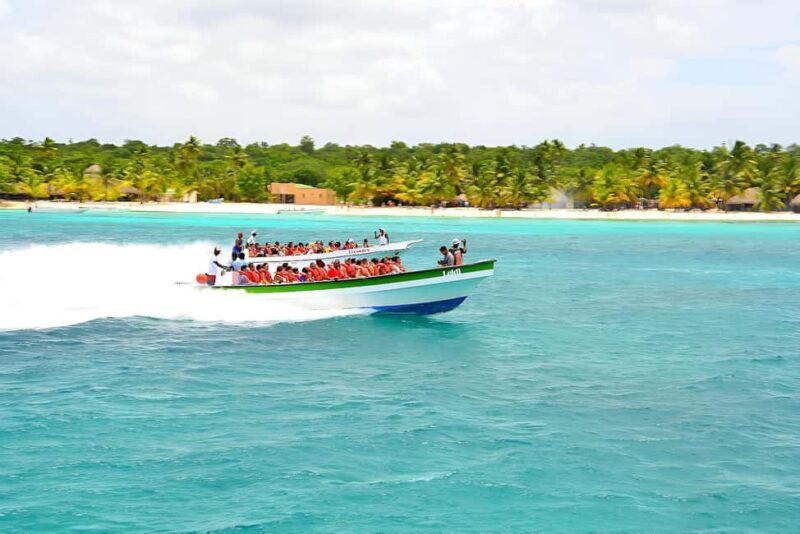 Punta Cana: Catamaran Boat to Saona Island with Buffet Lunch - Key Points