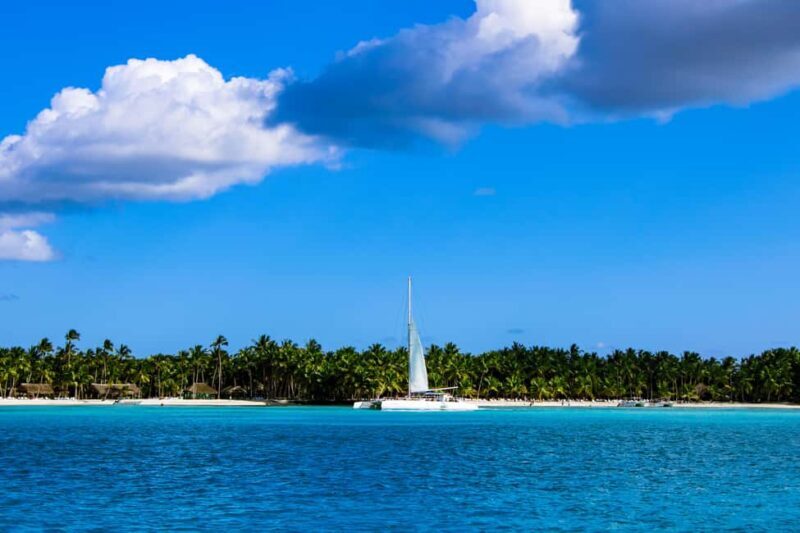 Punta Cana: Catamaran Boat to Saona Island with Buffet Lunch - Who Is This Tour Best For?