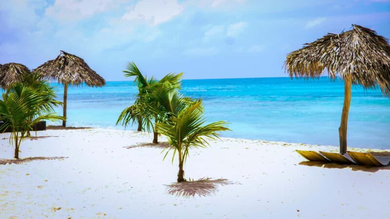 Punta Cana: Catamaran Boat to Saona Island with Buffet Lunch - The Sum Up