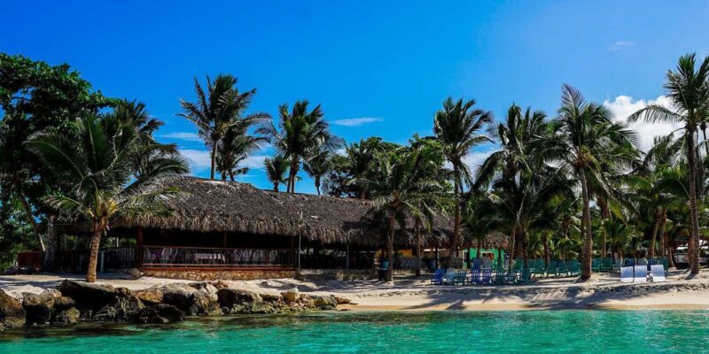 Punta Cana: catamaran boat to Saona Island with buffet lunch - Key Points