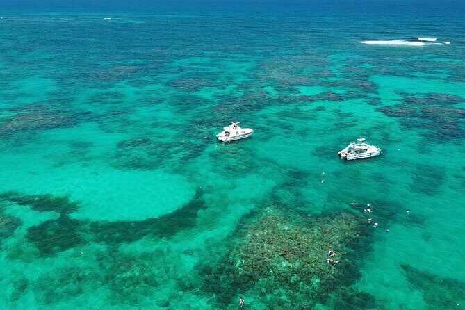 Punta Cana: Catamaran Tour, Reef Snorkeling and Unlimited Drinks! - Key Points