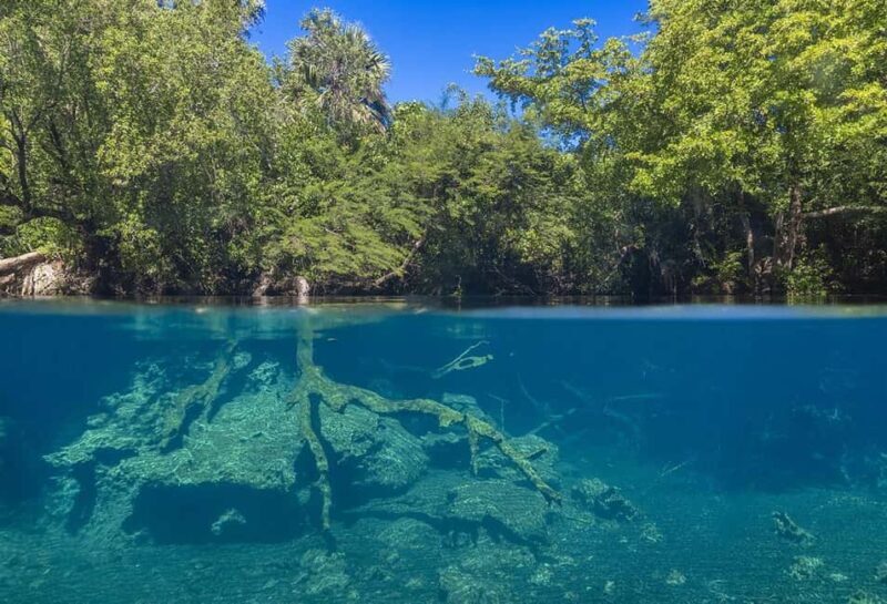 Punta Cana Cenote: Floating Sound Healing & Swim - Final Thoughts