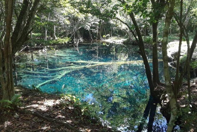 Punta Cana Cenote Hoyo Claro Hiking Tour + Juanillo Beach - Practical Considerations