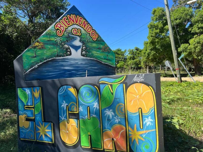 Punta Cana: Coffee Plantation, Chocolate, and Sugar Cane - The Realities: What Past Visitors Say