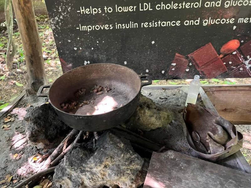 Punta Cana: Coffee Plantation, Chocolate, and Sugar Cane - Comparing the Experience